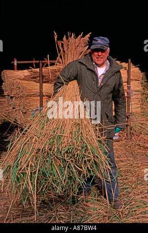 Thatching industry Chillesford Suffolk England Stock Photo - Alamy