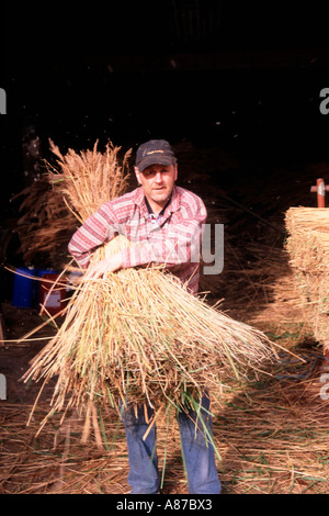 Thatching industry Chillesford Suffolk England Stock Photo - Alamy