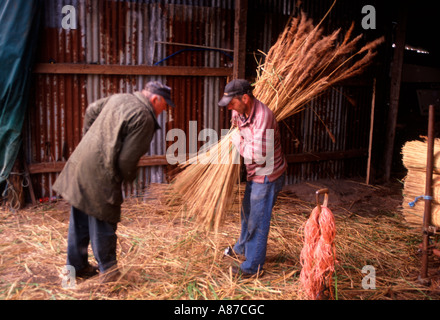 Thatching industry Chillesford Suffolk England Stock Photo - Alamy