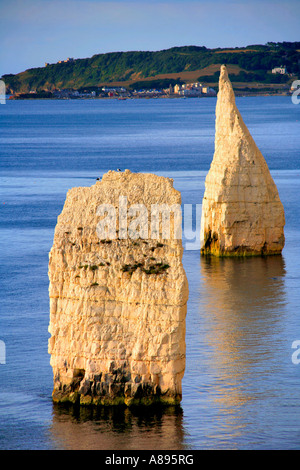 The Pinnacles Sea Stacks Swanage Bay Jurassic coast Dorset England ...