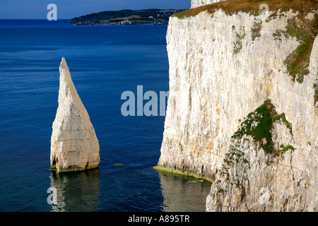 The Pinnacles Sea Stacks Swanage Bay Jurassic coast Dorset England ...