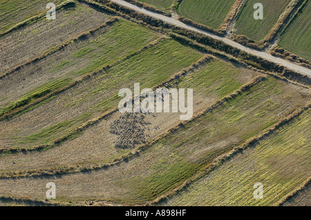 Farming land at San Lorenzo de Flumen Mequinenza Dam Ebro River Caspe ...