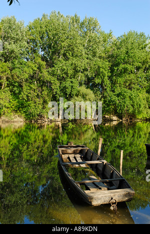 Fishing on River Bodrog (Tokaj region Stock Photo - Alamy