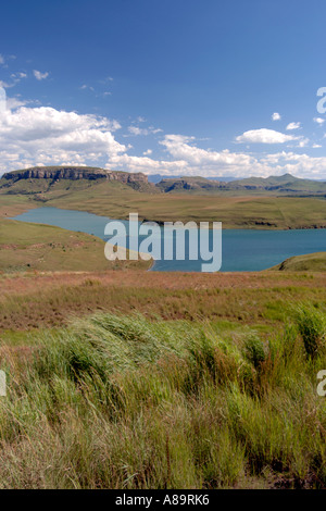 The Sterkfontein/Driekloof dam on the border of the Free State and ...