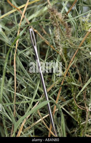 Pin in a haystack Stock Photo - Alamy