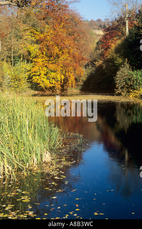 Sherbourne Pond near The Silent Pool on the A25 Shere Road between ...