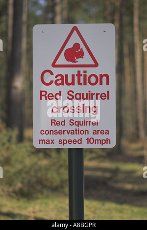 Caution- Red Squirrel crossing road sign. Dundonnell, Wester Ross Stock ...