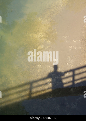 person's shadow in river seen from bridge Stock Photo - Alamy