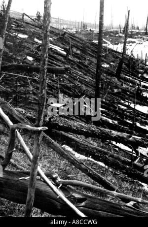 Tunguska Event, 1908 Stock Photo - Alamy