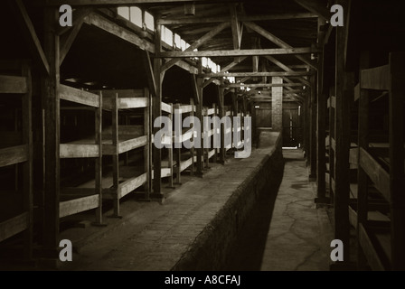 Bunk Beds Inside Auschwitz Hut Birkenau Stock Photo - Alamy