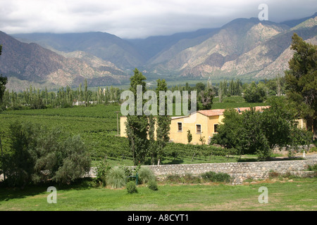 Michel Torino winery at Cafayate Salta Argentina. Wine cellar ranch ...