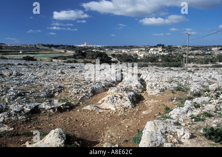 Malta cart-ruts at 'Clapham Junction', near Dingli, hundreds of ...