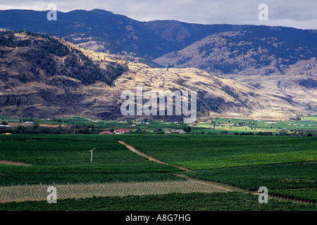 Desert Landscape near Osoyoos, BC, South Okanagan Valley, British ...