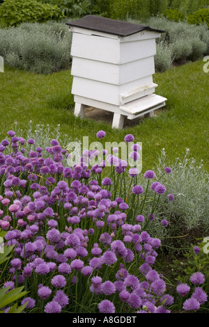 Traditional beehive in herb garden Norfolk Stock Photo - Alamy