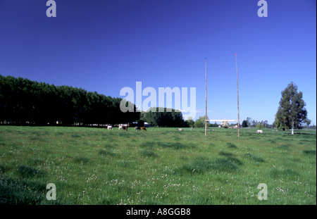 Homemade rugby posts in a rural paddock Geraldine Canterbury South ...