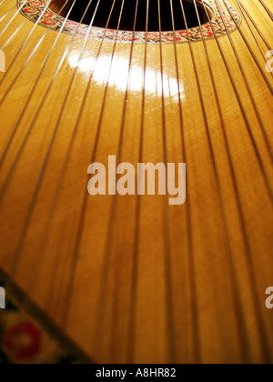 Kozak art music Ukrainian bandura kobza kobsa torban Stock Photo - Alamy