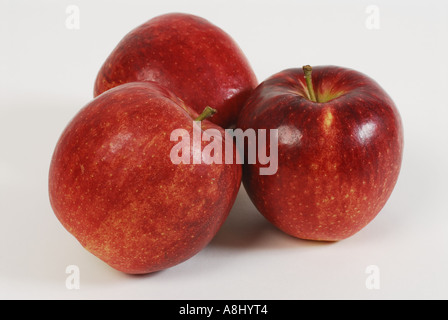 Three apples Malus domestica with red and yellow skin are stacked on a ...