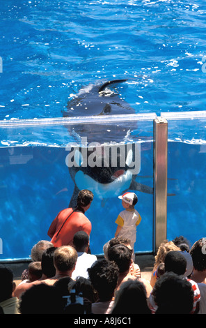 SeaWorld Orlando FL Shamu Stadium Stock Photo - Alamy