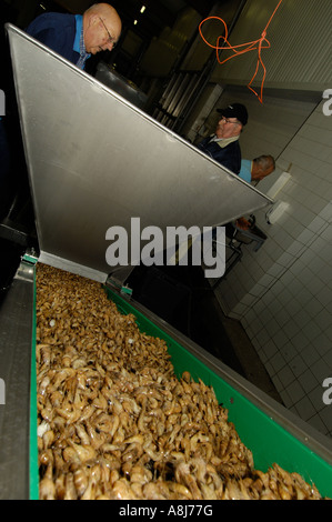 Men at work United Fish Auctions detail fisheries fish branches Stock ...