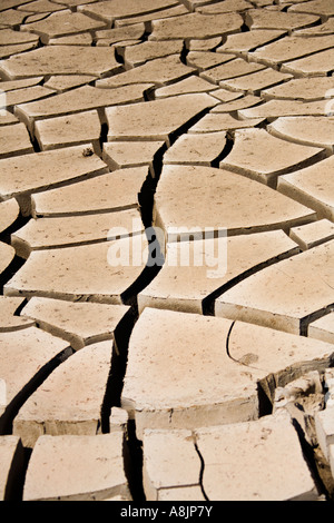 Cracked mud in a dry wash after post-burn flash flooding after ...