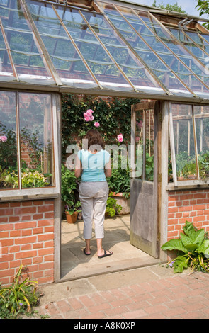 Old lean-to greenhouse in the garden of Ivy House, Hedon, East ...