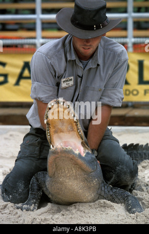 Florida, Orlando, Gatorland, Alligator wrestling Stock Photo - Alamy