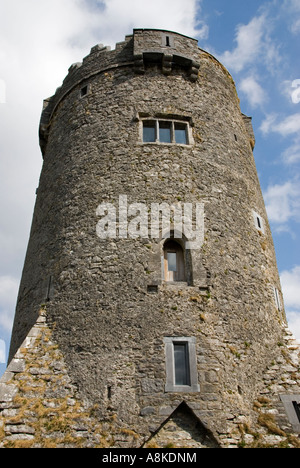 Newtown Castle, The Burren, County Clare, Ireland. 16th century tower ...