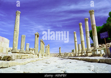 Roman ruins in the Colonnade street. Petra, Jordan Stock Photo - Alamy