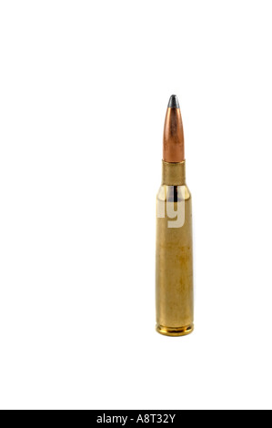 6.5x55 Swede Ammunition 129 Grain SST over 45 Grans AR2208 Federal ...