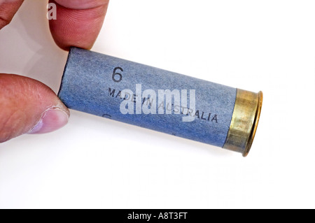 16 Gauge Vintage Eley Kynoch Paper Cartridges No 6 shot Stock Photo - Alamy