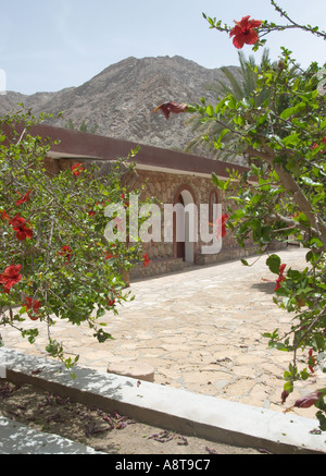 The Monestry of Moses at the Oasis of Feiran Sinai Peninsula Egypt ...