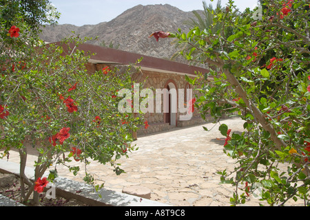 The Monestry of Moses at the Oasis of Feiran Sinai Peninsula Egypt ...
