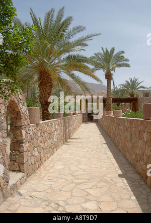 The Monestry of Moses at the Oasis of Feiran Sinai Peninsula Egypt ...