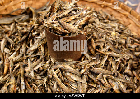 Asia, Myanmar, Nyaungshwe, small dried fish from Inle lake for sale ...
