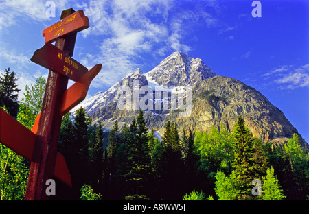 Kicking Horse River and Mount Stephen, Yoho National Park, British ...