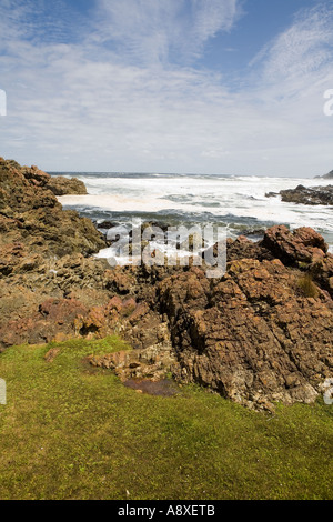 Trial Harbour in Tasmania Stock Photo - Alamy