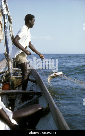 Blue Gill Fishing Stock Photo - Alamy