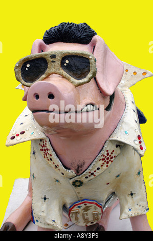 Elvis the pig Stock Photo - Alamy