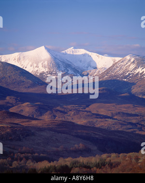 The snow-capped peak of Stob a' Choire Mheadhoin above a forest of fir ...