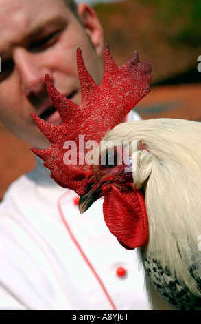 chef holding a cockerel Stock Photo - Alamy