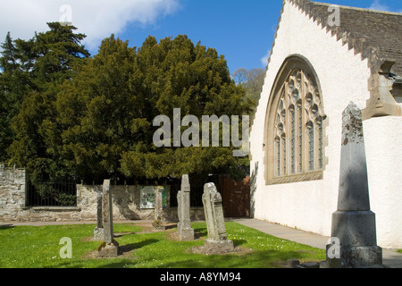 dh Scottish Yew Tree churchyard FORTINGALL PERTHSHIRE 5000 year old ...