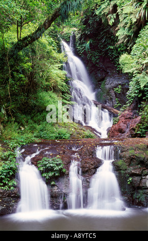 Elabana Falls, Lamington National Park Stock Photo - Alamy