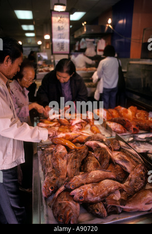 Fish shop in Chinatown in San Francisco fish fillet ice pan fresh Stock ...