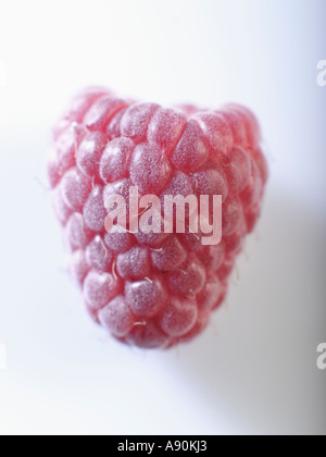 A single raspberry Stock Photo - Alamy
