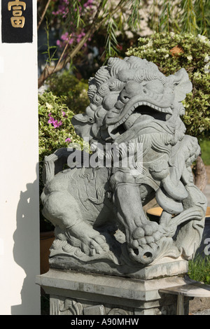 A Foo-dog (Chinese lion) watch over people practicing Tai Chi (Tai chi ...