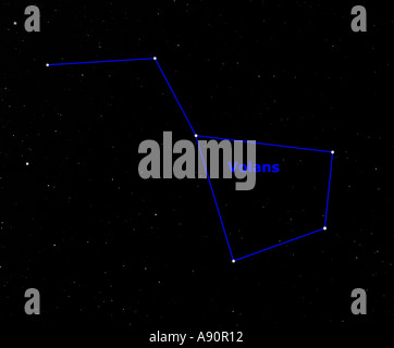 Volans Constellation Showing Name And Sign Stock Photo - Alamy