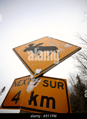Moose crossing sign in Riding Mountain Park in Manitoba Stock Photo - Alamy