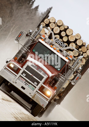 Northern Saskatchewan Logging Road rural wilderness Stock Photo - Alamy