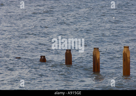 Wooden posts in sea Stock Photo - Alamy