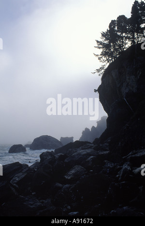 Scenic rocky shoreline with rugged cliff edges and crystal-clear water ...